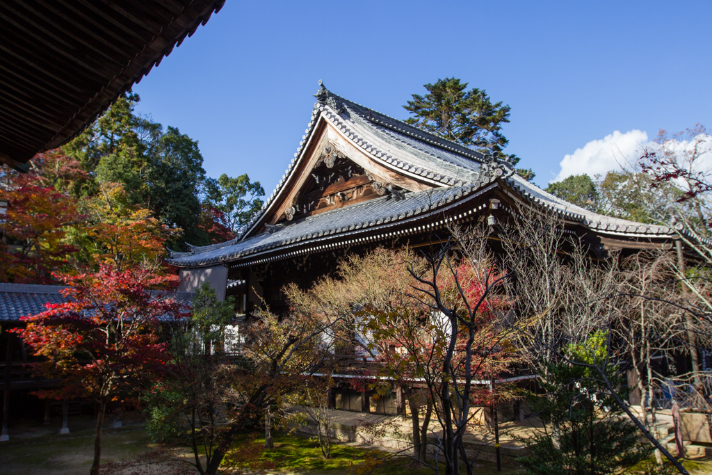 Le temple Kōmyō-ji à Kyoto – TekuTeku Japan