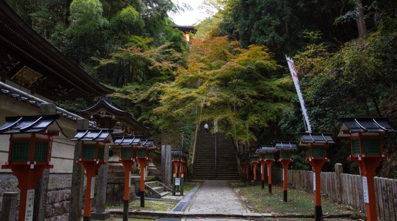 Tanukidani-san Fudō-in, le temple aux tanukis | TekuTeku Japan