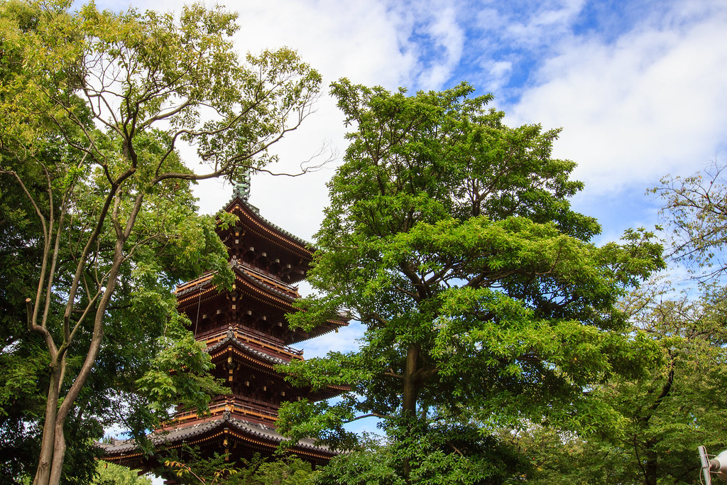 Parc de Ueno, le parc populaire au cœur de tokyo | TekuTeku Japan Parc de Ueno, le parc populaire au cœur de tokyo | TekuTeku Japan