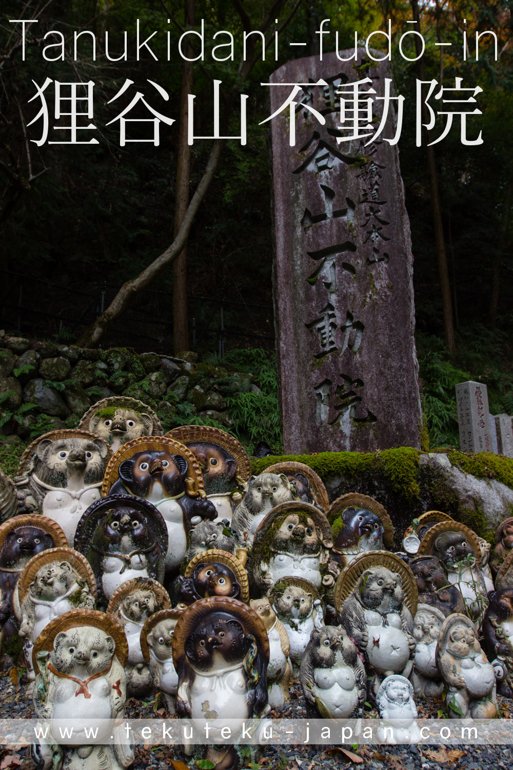 Tanukidani-san Fudō-in, le temple aux tanukis | TekuTeku Japan