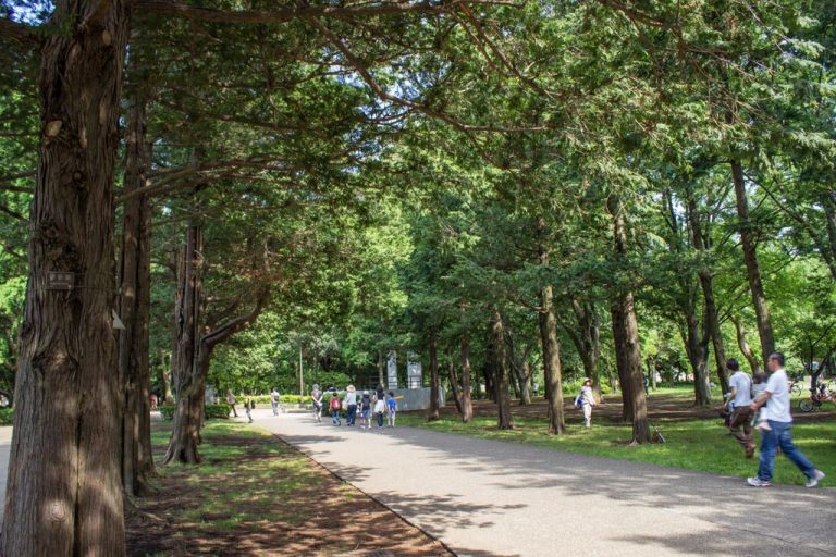 Le parc de Kinuta, immense espace vert dans Tokyo | TekuTeku Japan