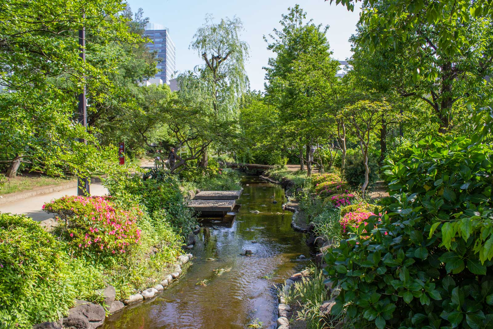 Oyokogawa Shinsui Park, le surprenant parc tout en longueur à Tokyo ...