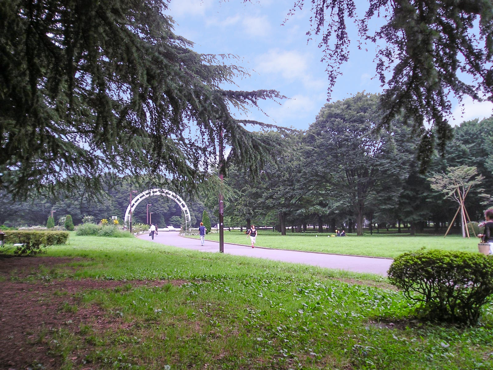 Le parc de Yoyogi, un coin de verdure à Tokyo | TekuTeku Japan